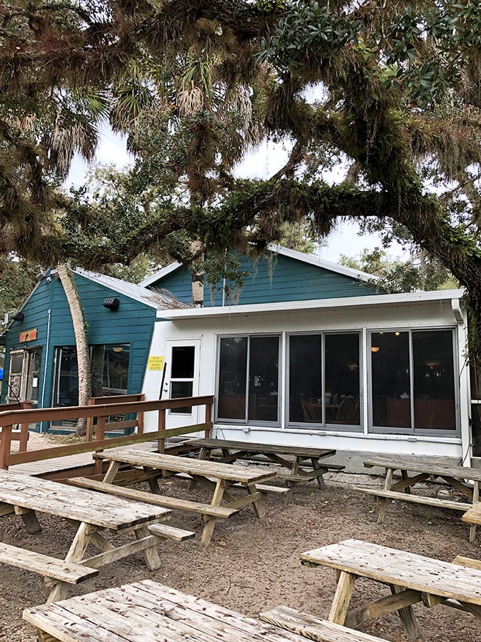 Nestled under Spanish moss and ancient oaks, Snook Haven's blue exterior welcomes visitors like a weathered postcard from Old Florida.
