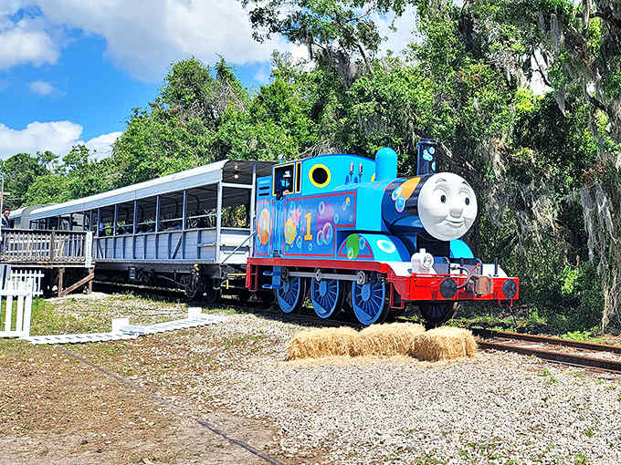 Florida Railroad Museum: Thomas the Tank Engine's real-life cousin pulls eager passengers through Florida's lush landscape, creating memories one chug at a time.