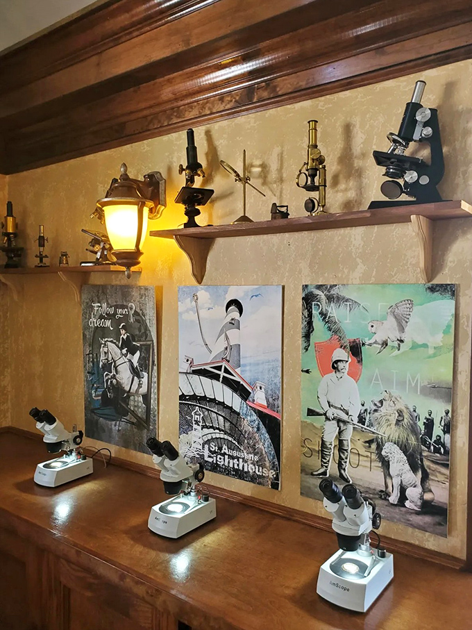Vintage microscopes line the shelves above modern viewing stations, creating an atmosphere that blends scientific discovery with artistic appreciation.