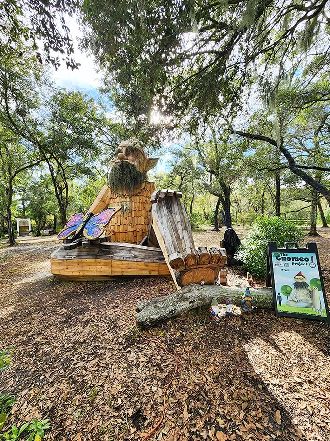 Gnomeo stands tall among the oak trees, his wooden beard and pointy hat creating a whimsical guardian of this magical preserve.