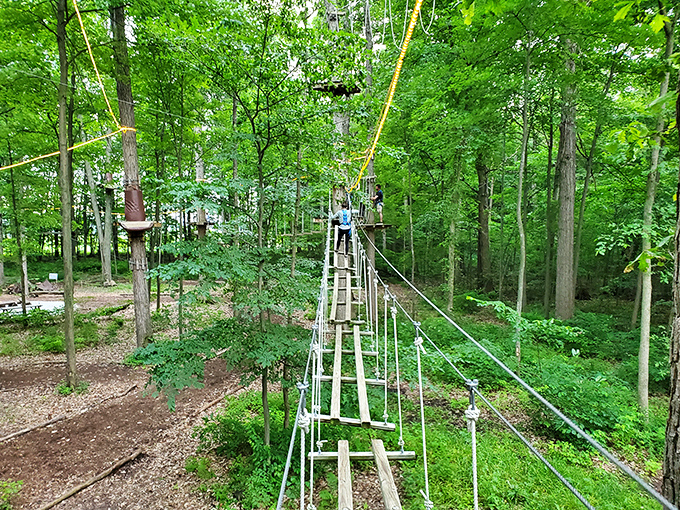 Frankenmuth Aerial Park: Where everyday folks transform into treetop acrobats, proving that monkeys don't have a monopoly on aerial shenanigans.