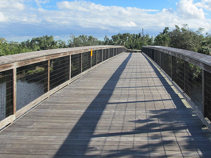 Gordon River Greenway: Where Florida's natural beauty unfolds along wooden pathways, inviting explorers of all ages to discover its secrets.