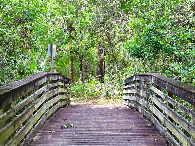 Welcome to Halpatiokee Regional Park, where "Alligator Water" translates to "paradise found" for nature lovers in Stuart, Florida.