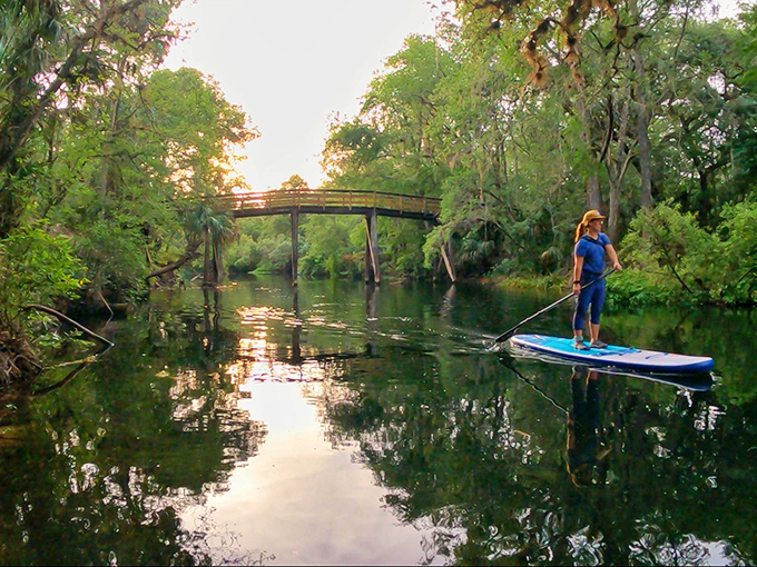 Welcome to Hillsborough River State Park, where Florida shows off its wild side without a single roller coaster or cartoon mouse in sight.
