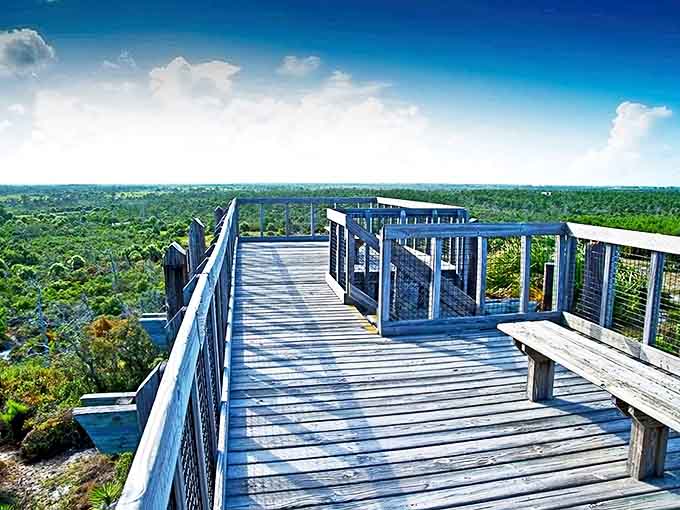 The observation deck at Jonathan Dickinson State Park offers breathtaking panoramic views that'll make your Instagram followers wonder if you've discovered heaven on Earth.