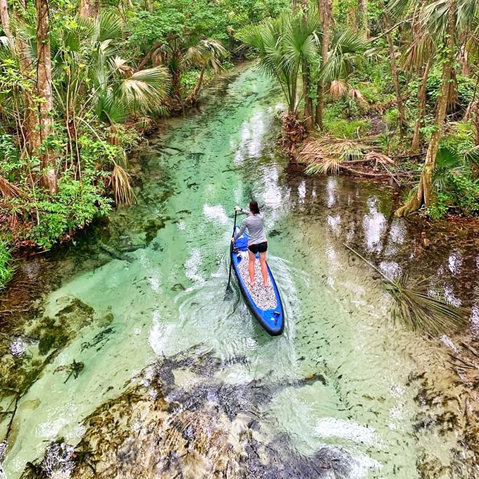 Rock Springs flows like nature's own lazy river, inviting adventurers to float through a paradise that's been perfecting its charm for millennia.