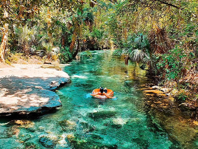 Nature's own lazy river beckons with crystal-clear waters that would make Caribbean resorts green with envy. Kelly Park's spring run invites visitors to float their cares away.