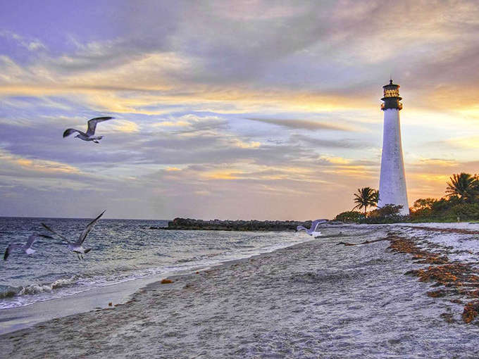 Key Biscayne's lighthouse beach at sunset &ndash; where seagulls photobomb your perfect moment and somehow make it even better.