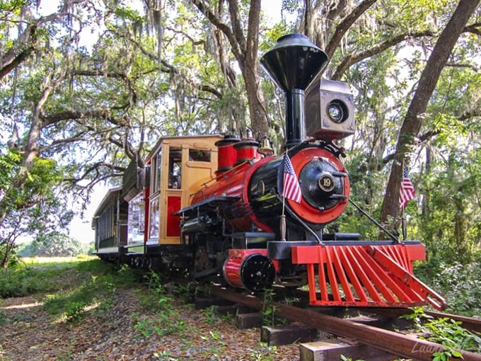The historic locomotive at Kirby Family Farm stands ready for adventure, its vibrant red and wooden details promising a journey through simpler times.