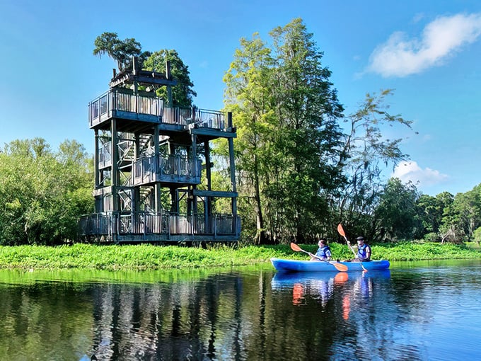 A multi-story observation tower rises from the wetlands, offering panoramic views while kayakers glide through reflective waters below.