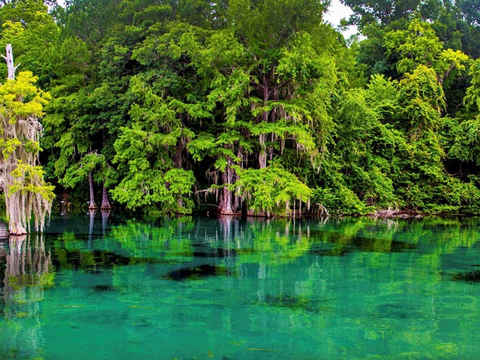 Merritt's Mill Pond dazzles with water so impossibly blue-green you'll wonder if someone's been messing with nature's color settings.