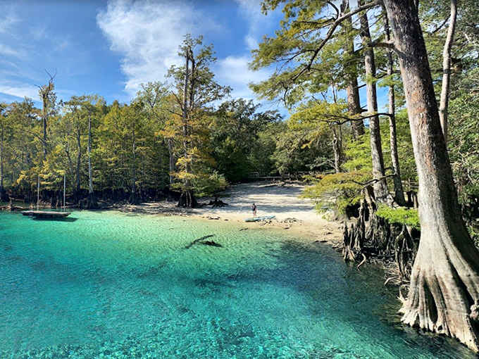 Welcome to Morrison Springs County Park, where Mother Nature decided to show off with water so blue it makes the Caribbean look like it's trying too hard.