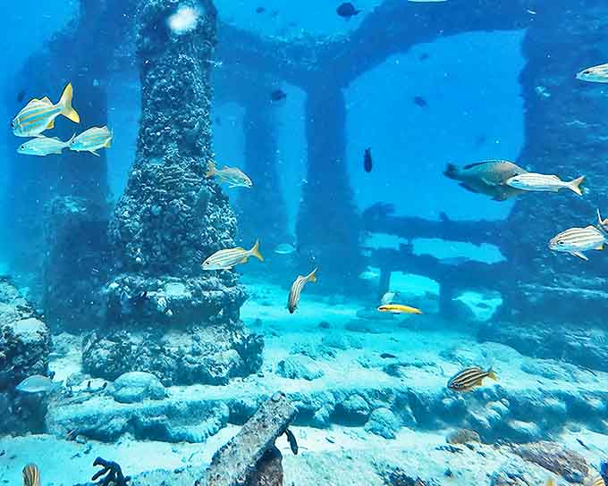 Columns rise from the sandy bottom like ancient sentinels, now adorned with colorful sponges and delicate coral formations.