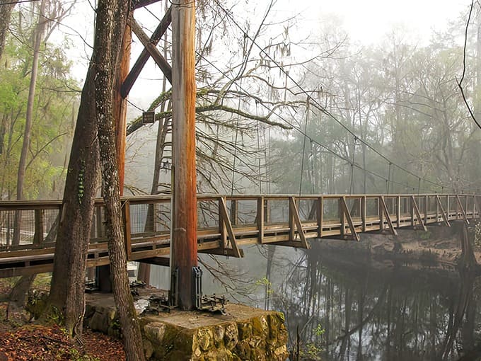 Misty morning magic at the suspension bridge &ndash; where the Santa Fe River plays hide-and-seek with visitors before vanishing underground.