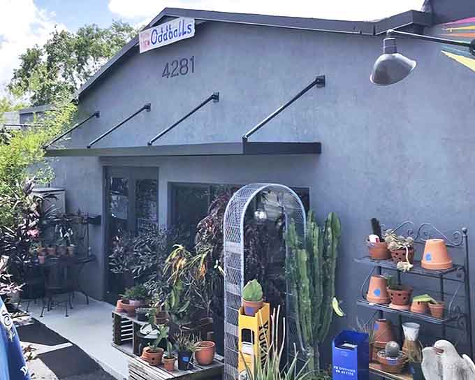 The unassuming gray exterior gives no hints about the wonderland of vintage treasures inside—like a speakeasy for thrift addicts.