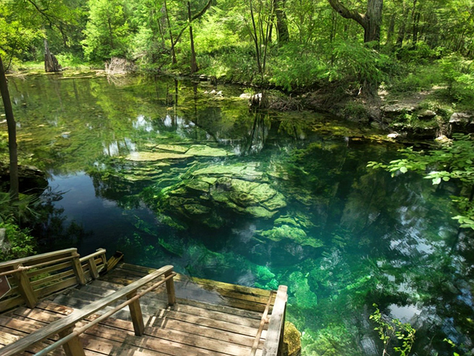Nature's own infinity pool: Peacock Springs' crystal waters invite you to peer into another world, where sunlight dances on ancient limestone.