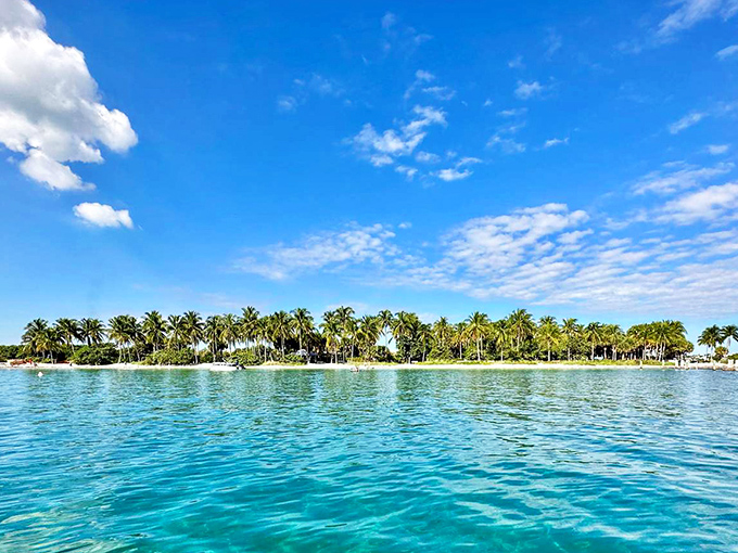 Paradise found! Peanut Island's shoreline stretches like a turquoise necklace around this tropical gem, just a quick boat ride from mainland Florida.