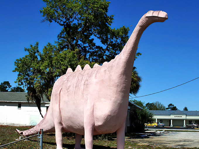 The Pepto-Bismol pink dinosaur stands tall against Florida's blue sky, a roadside marvel that refuses to go extinct.