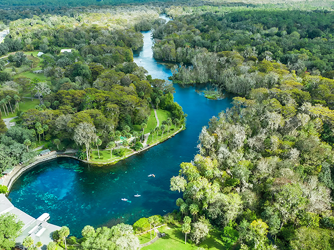 Aerial paradise: Silver Springs' crystalline waters wind through lush Florida wilderness like nature's own aquatic highway.