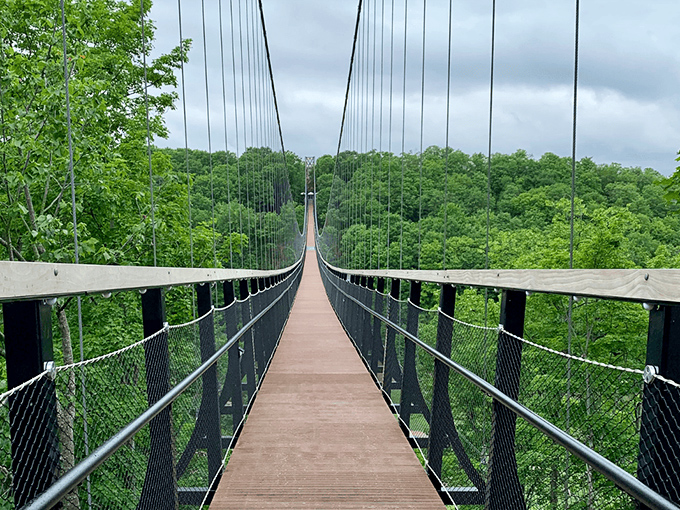 SkyBridge Michigan stretches across the lush valley of Boyne Falls like a daring invitation to adventure seekers. Would you accept the challenge?