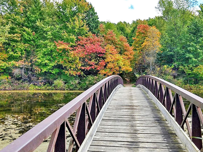 A wooden footbridge stretches toward autumn's fiery display at Sleepy Hollow State Park &ndash; nature's red carpet welcoming you to Michigan's best-kept secret.