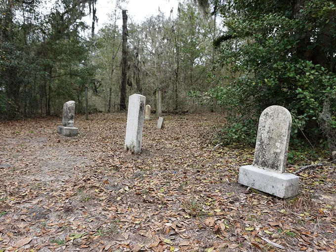 Weathered sentinels stand guard in Stroud Cemetery, where Florida's forgotten stories rest beneath a canopy of whispering pines.