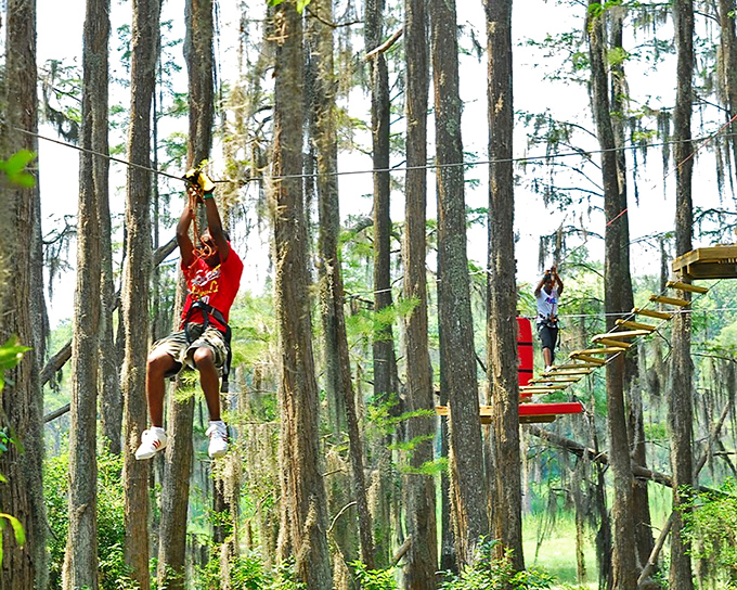 Adventure awaits among the towering pines at Tallahassee Museum, where history and thrills blend in perfect harmony.