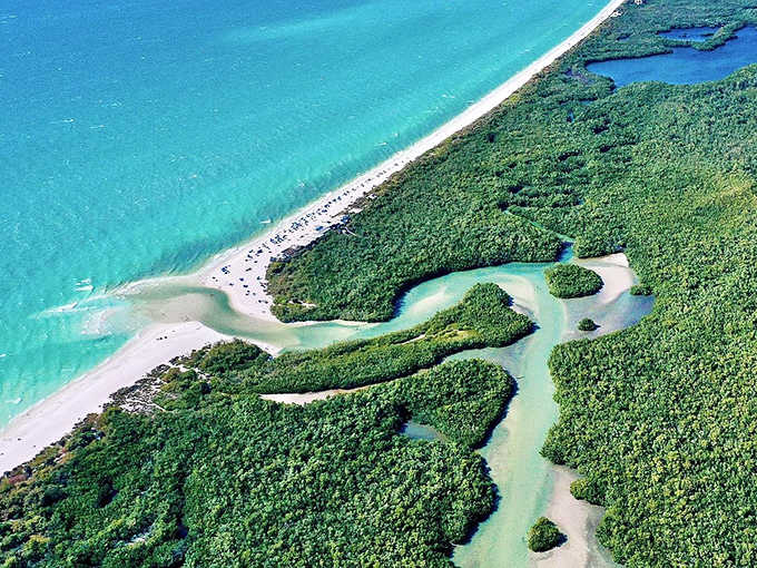 Nature's masterpiece unfolds where turquoise Gulf waters embrace emerald mangrove islands, creating Florida's most spectacular coastal labyrinth.