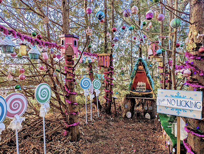The Fairy Forest: Candy-colored whimsy meets woodland charm in this magical corner where "No Licking" signs are apparently necessary fairy protocol.