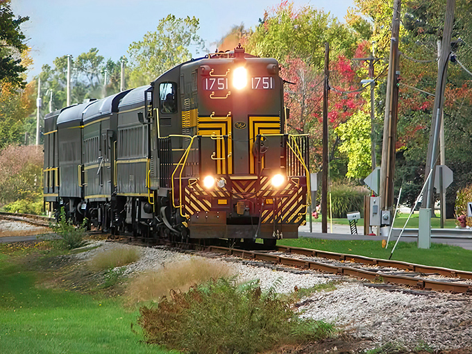 The Old Road's vintage locomotive powers through autumn foliage, its headlights cutting through twilight like a detective's flashlight illuminating clues.