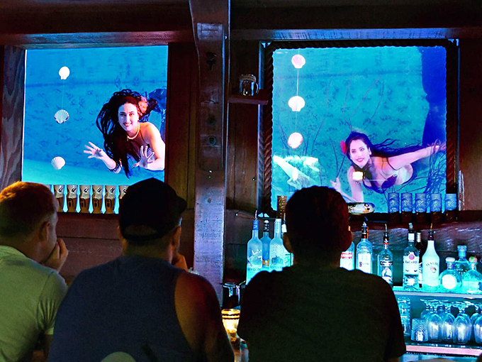 The Wreck Bar: Aquatic performers glide through illuminated waters, transforming an ordinary evening into an underwater fantasy that defies both gravity and expectations.
