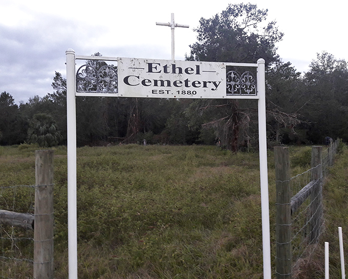 Rock Springs Run State Reserve: Nature's theme park without the lines &ndash; 14,000 acres of authentic Florida wilderness where the admission price includes peace and quiet.