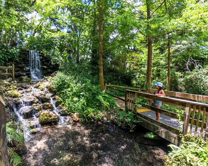 A serene wooden bridge crosses over a cascading waterfall, where nature and human design create perfect harmony at Rainbow Springs.