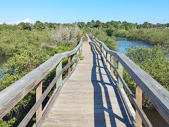 A wooden boardwalk stretches into the distance, inviting explorers into a lush mangrove wonderland where adventure awaits at every turn.