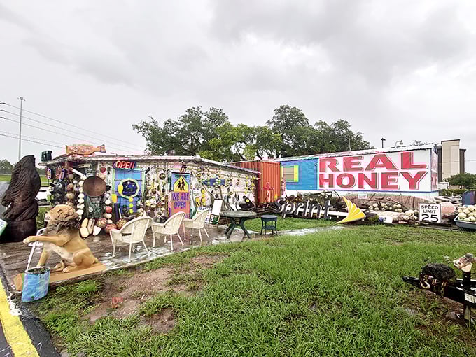 A kaleidoscope of color erupts roadside at Hong Kong Willie's, where "REAL HONEY" beckons amid a sea of rescued treasures and artistic chaos.