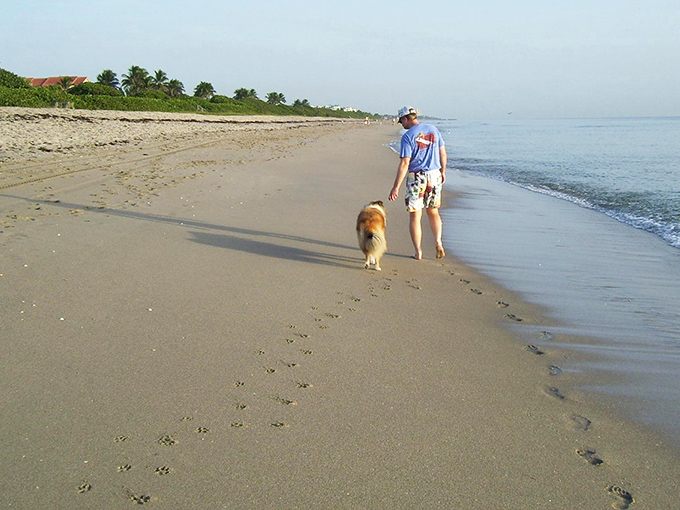 Morning strolls at Jupiter Dog Beach create perfect pawprints alongside human footprints &ndash; nature's way of documenting companionship.
