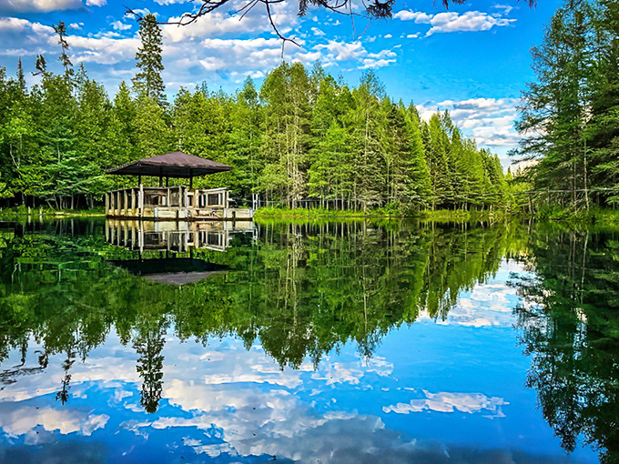 Nature's mirror game reaches perfection at Michigan's largest spring, where sky and trees create a double-take worthy reflection.