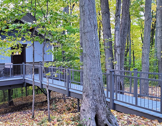 Elevated living redefined: This treehouse cabin blends seamlessly with the Michigan forest, connected by a walkway that seems to float among the trees.