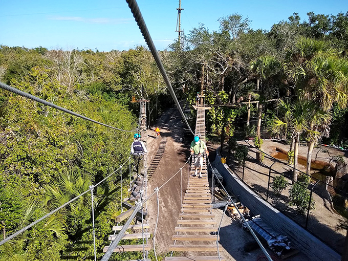 Suspended between earth and sky, adventurers navigate wooden planks while tropical foliage creates a natural obstacle course below.