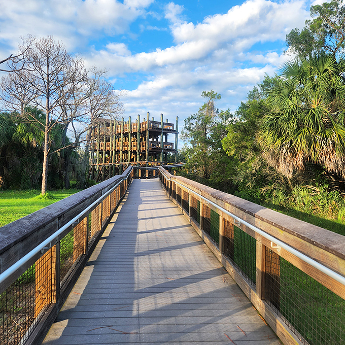 A wooden boardwalk stretches toward adventure, inviting you into a world where nature calls the shots.
