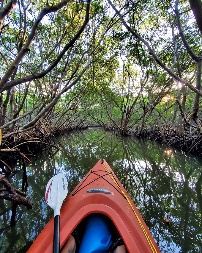A bright orange kayak slices through the reflective waters of Weedon Island's mangrove tunnels &ndash; nature's own secret passageway awaits!