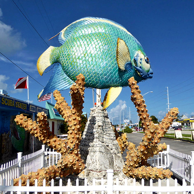 The royal blue monarch of Marathon commands attention with scales that shimmer like underwater jewels against the Florida sky.