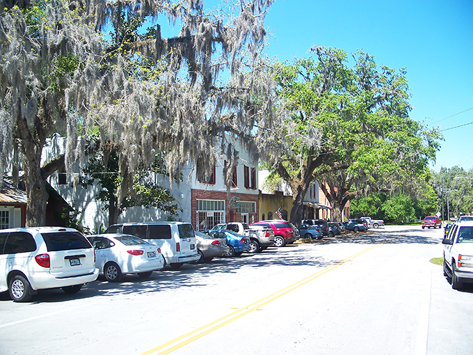 Micanopy's main street whispers tales of yesteryear, where Spanish moss-draped oaks create nature's own time tunnel into Old Florida.