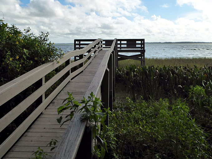 A wooden boardwalk stretches across the marsh at Bourlay Historic Nature Park, inviting visitors to venture into Florida's natural splendor.