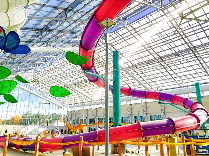 A kaleidoscope of colorful water slides twists through the glass atrium, promising thrills that defy both gravity and adult dignity.