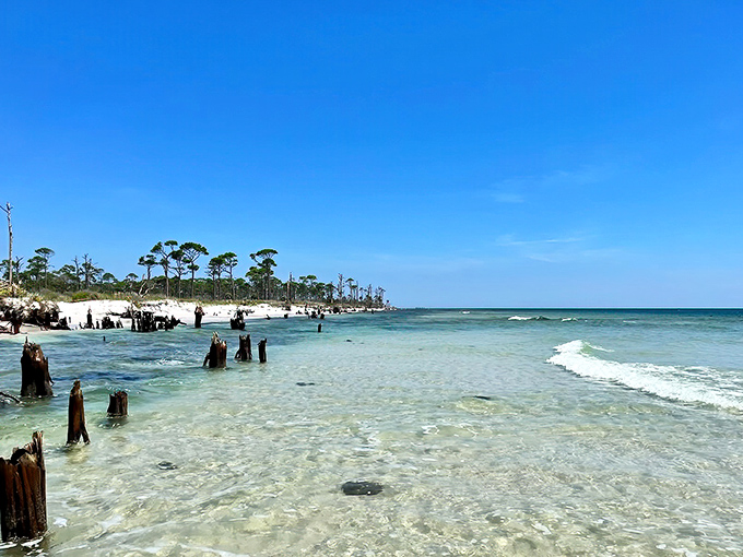 A weathered cap marks someone's favorite fishing spot, where wooden stumps create natural fishing structures in the crystalline shallows.