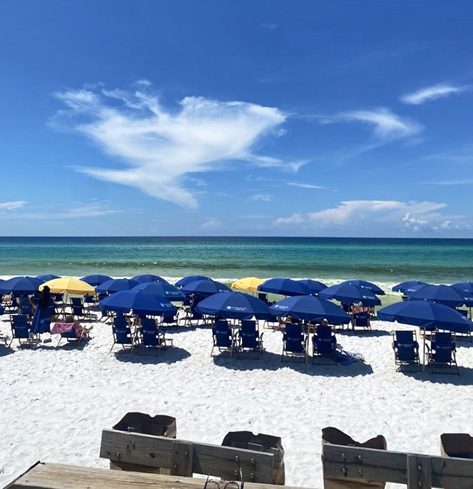 Beachfront Relaxation: Blue umbrellas stand at attention like loyal soldiers, ready to shield you from the Florida sunshine.