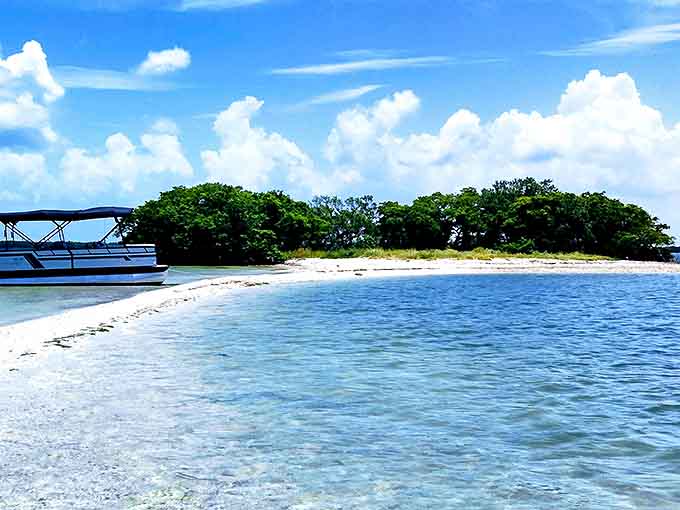 Island sandbars: where time slows to the pace of lapping waves and conversations flow as easily as the surrounding waters.