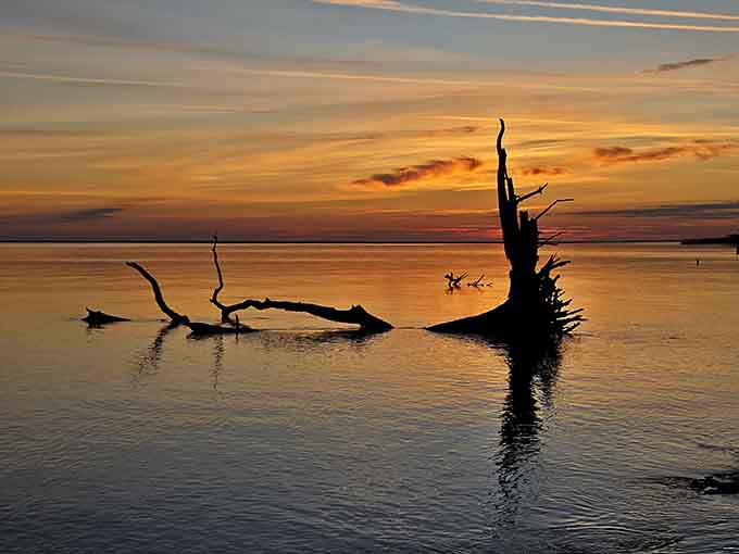 Sunset at Boneyard Beach is the kind of thing that makes you forget to check your phone, which is saying something in this day and age.
