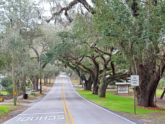 Even school zones become enchanted spaces in Floral City, where education happens under the watchful gaze of centuries-old arboreal giants.
